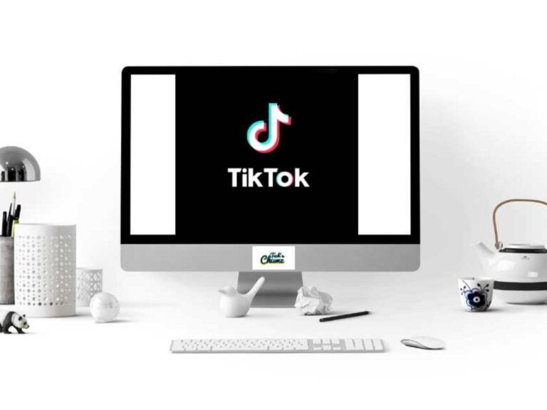 How to Download and Install TikTok on Windows 10 Computer - 2021 ...