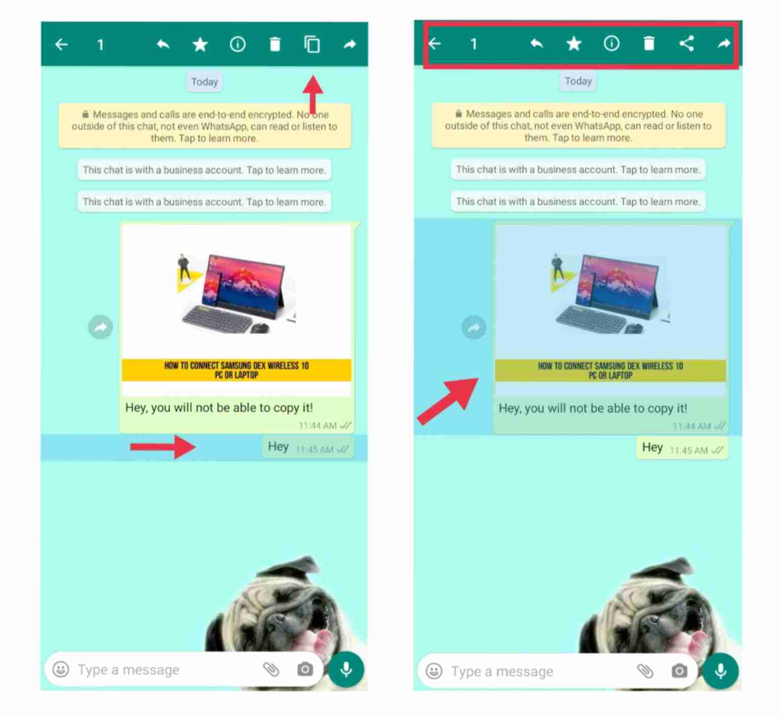 How to Prevent Text Messages from Being Copied on WhatsApp | Techschumz