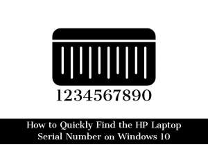 How to Quickly Find the HP Laptop Serial Number on Windows 10 in 4 Easy ...