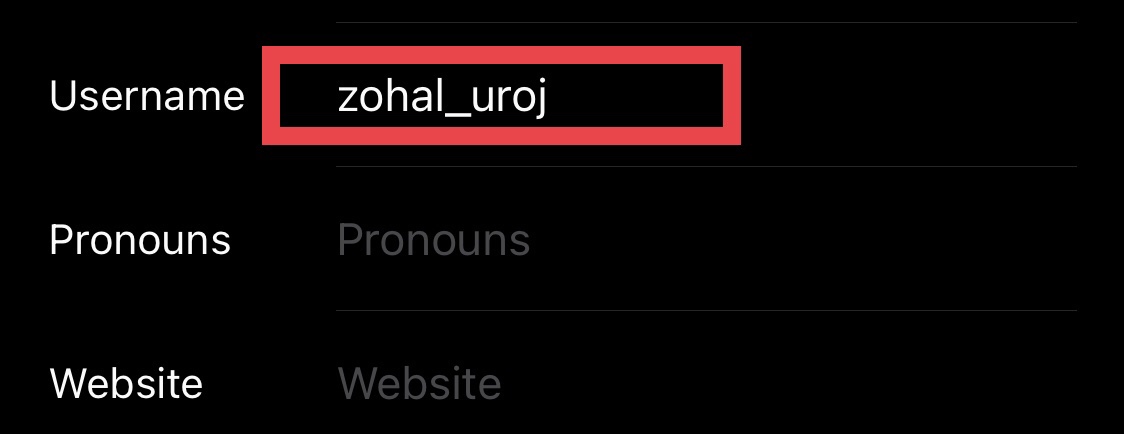 How to Share Instagram Profile Links on Android and iOS | Techschumz