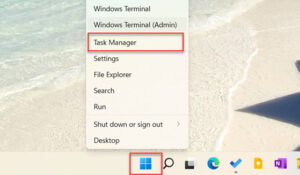 How to Find Your IP Address on a Windows 11 PC (7 Methods) | Techschumz
