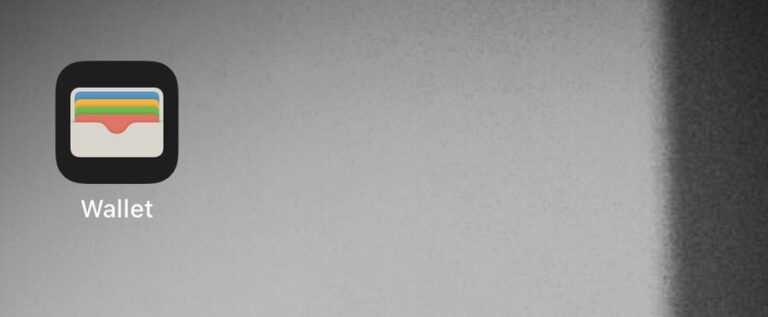 How To Get Apple Wallet Back on Your iPhone Home Screen | Techschumz