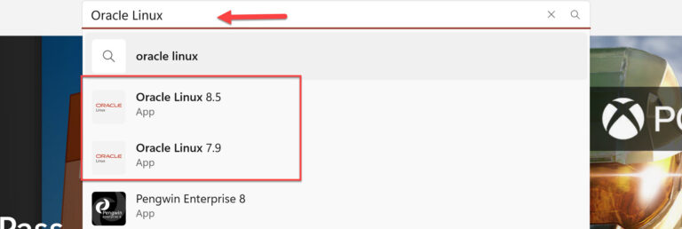 How To Install Oracle Linux On Your Windows 11 PC | Techschumz