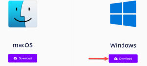 How to Download and Install AMPPS Stack on Windows 11 | Techschumz