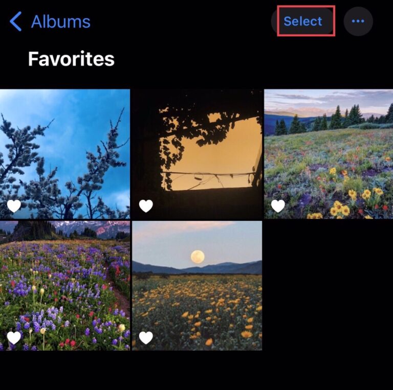 How To Merge Multiple Images Into A PDF File On iPhone in iOS 16 ...